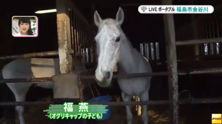 2017年4月25日のツイート – techdou.net